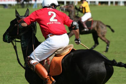 Polo Injuries - Sinew Therapeutics